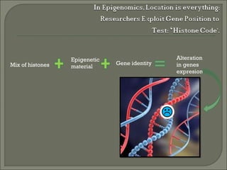 Preventing blindness with damaged cells studies; and how the location ...