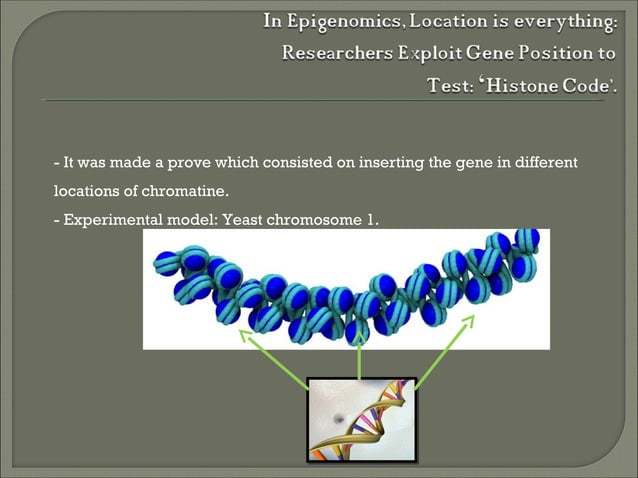 Preventing blindness with damaged cells studies; and how the location ...