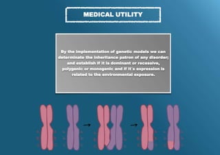 Polygenic diseases by Juan Pedro Neira | PPTX