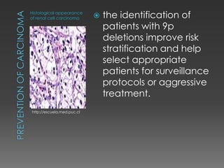 Plegable biology 2 | PPTX