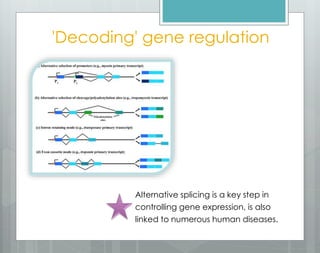 Splicing / Molecular Biology | PPTX | Genetics | Science