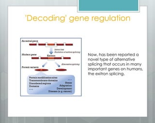 Splicing / Molecular Biology | PPTX | Genetics | Science