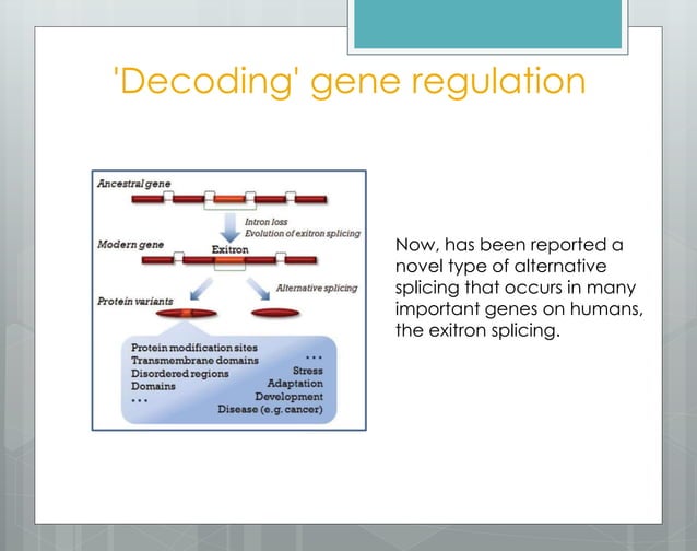 Splicing / Molecular Biology | PPTX | Genetics | Science