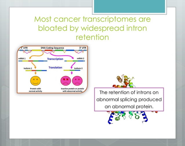Splicing / Molecular Biology | PPTX | Genetics | Science