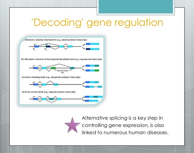 Splicing / Molecular Biology