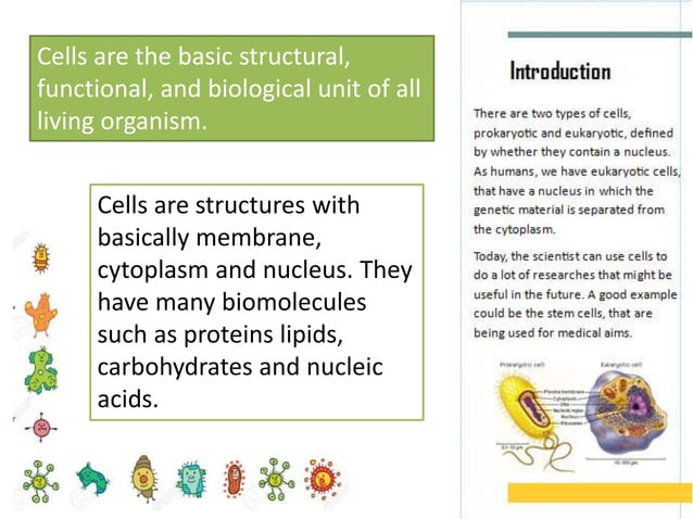The cell and its evolution | PPTX