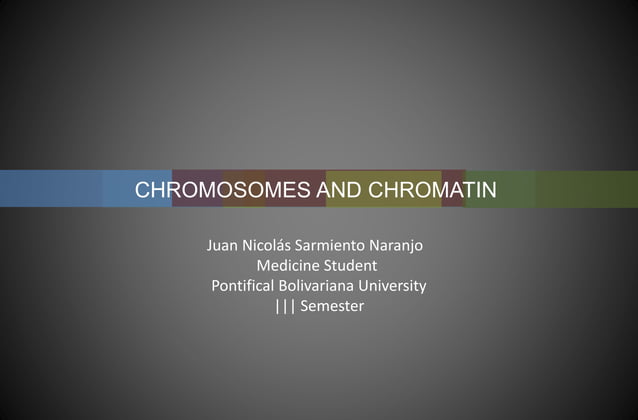 Chromosomes and Chromatin | PPT