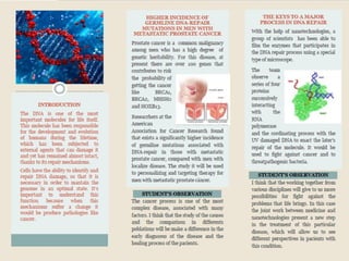 DNA repair mechanisms | PPT