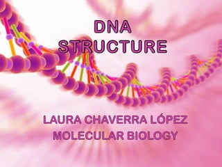 DNA STRUCTURE | PDF
