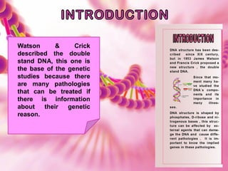 DNA STRUCTURE | PDF