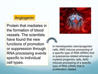 RNA processing | PPT