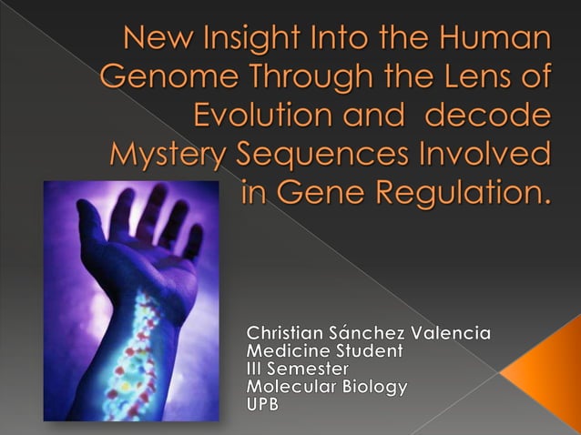 New Insight Into the Human Genome Through the Lens of Evolution and ...