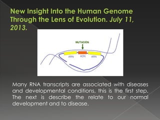 New Insight Into the Human Genome Through the Lens of Evolution and ...