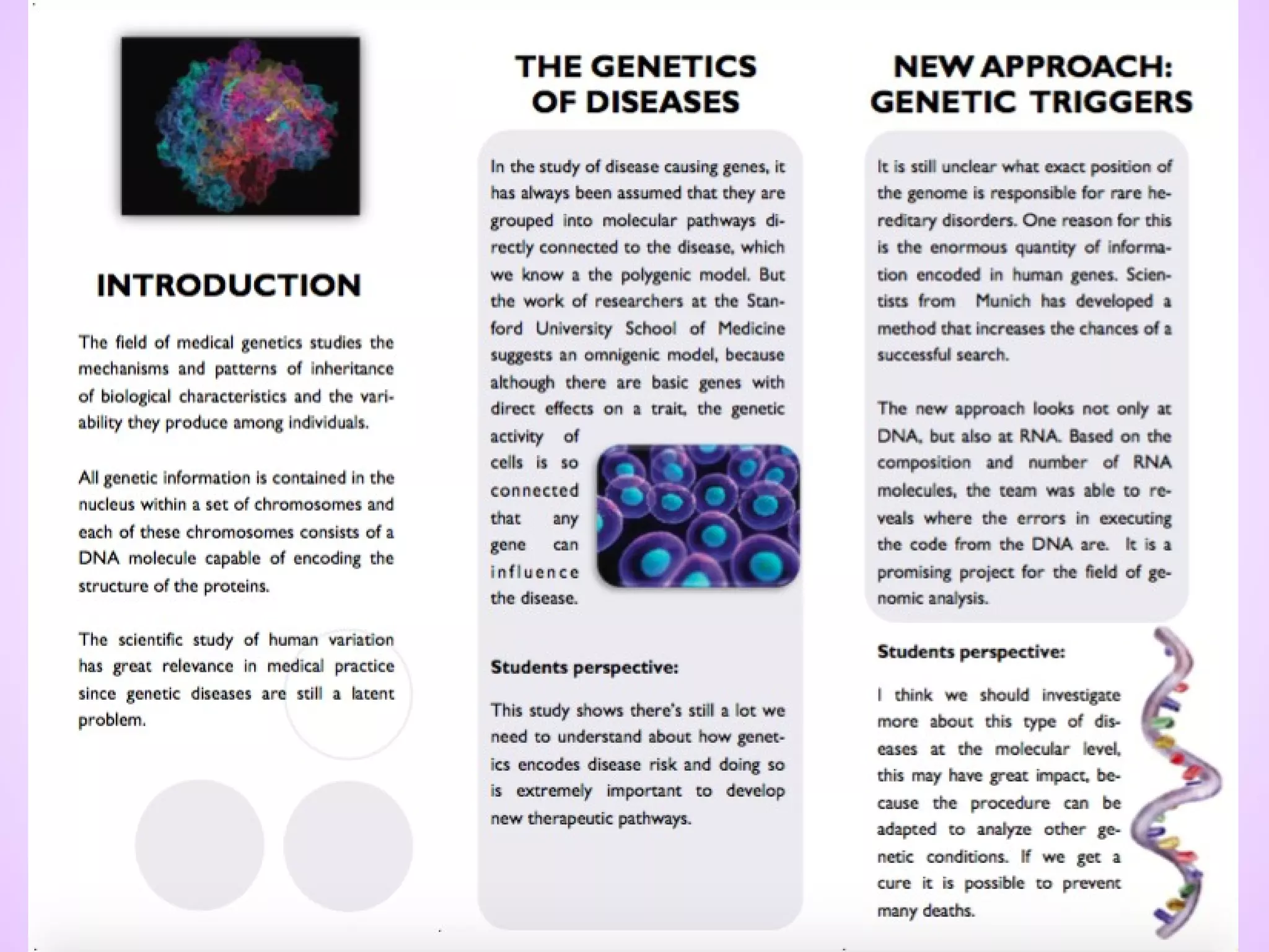 Principles of Medical Genetics | PPT