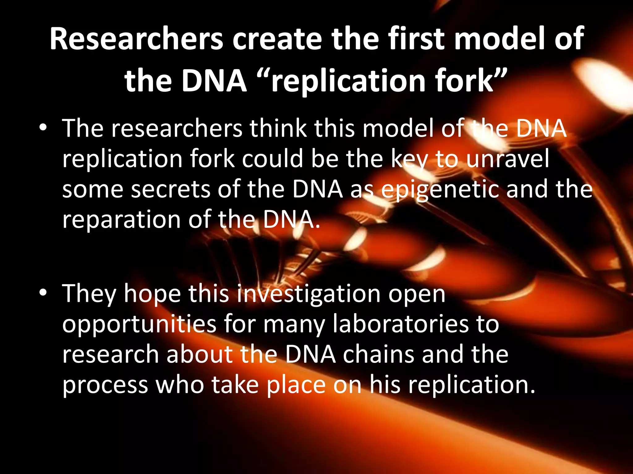 Researchers create the first model of the DNA ‘replication fork” and ...