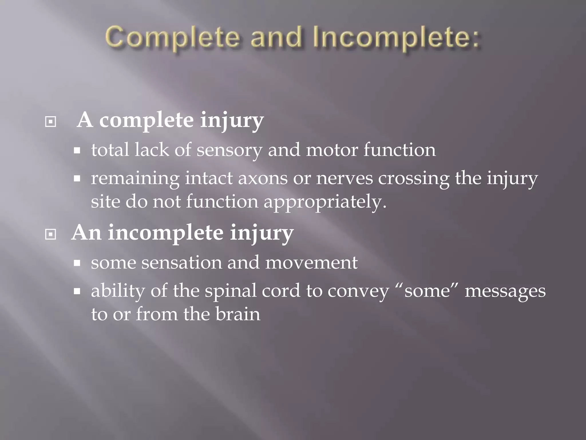 Nervous system, bio 120 | PPTX