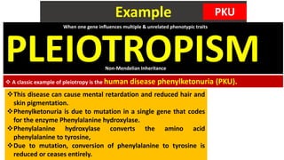 Pleiotrophism: Gene Interaction | PPTX