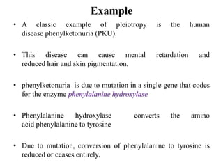 Pleiotropism | PPTX