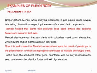 Pleiotropy | PPTX