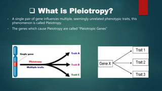 PLEIOTROPY.pptx