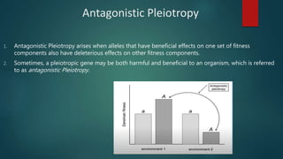 PLEIOTROPY.pptx