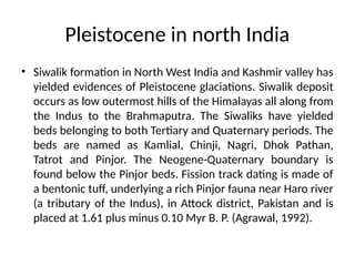 Pleistocene epoch in India in archaeology .pptx