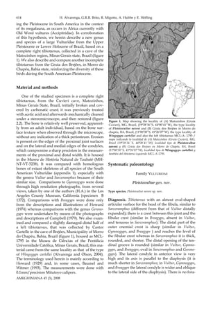 Pleistovultur nevesi gen. et sp. nov. (aves vulturidae) and the ...
