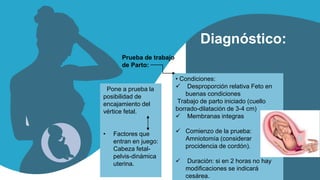 Plenaria Parto Obstruido- | PPTX