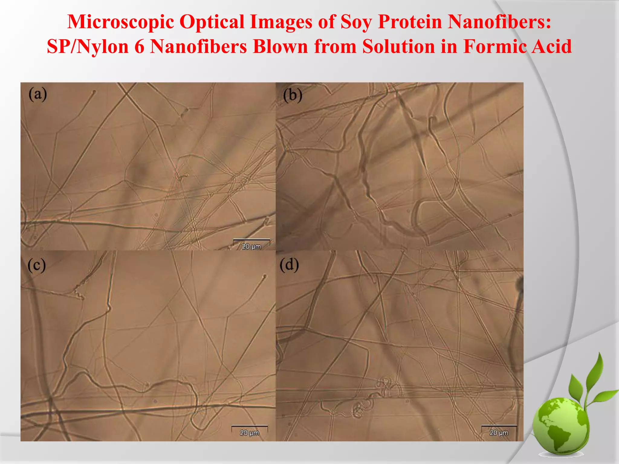 Bio-waste-derived nanofibers formed by solution blowing and their ...
