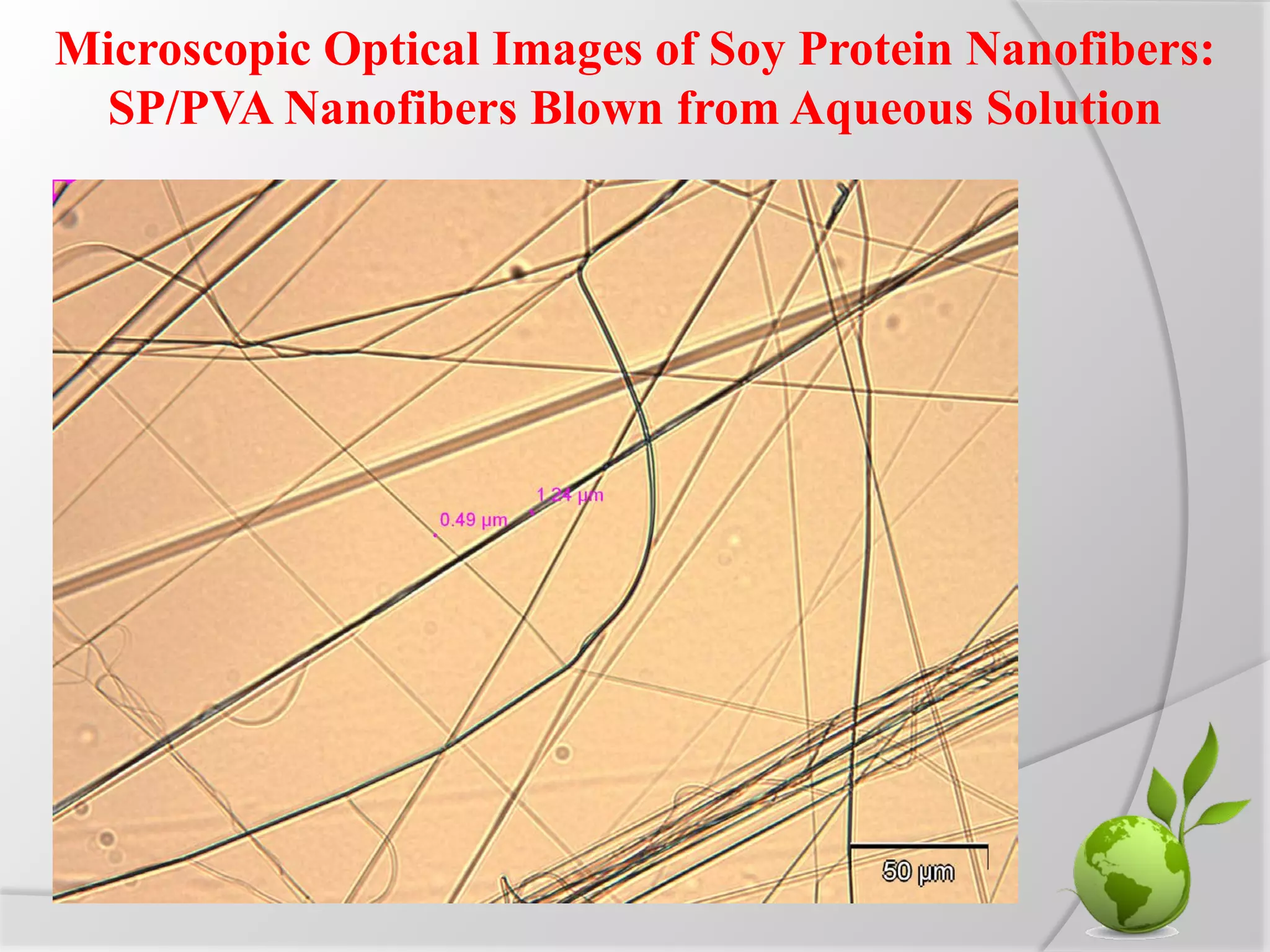 Bio-waste-derived nanofibers formed by solution blowing and their ...