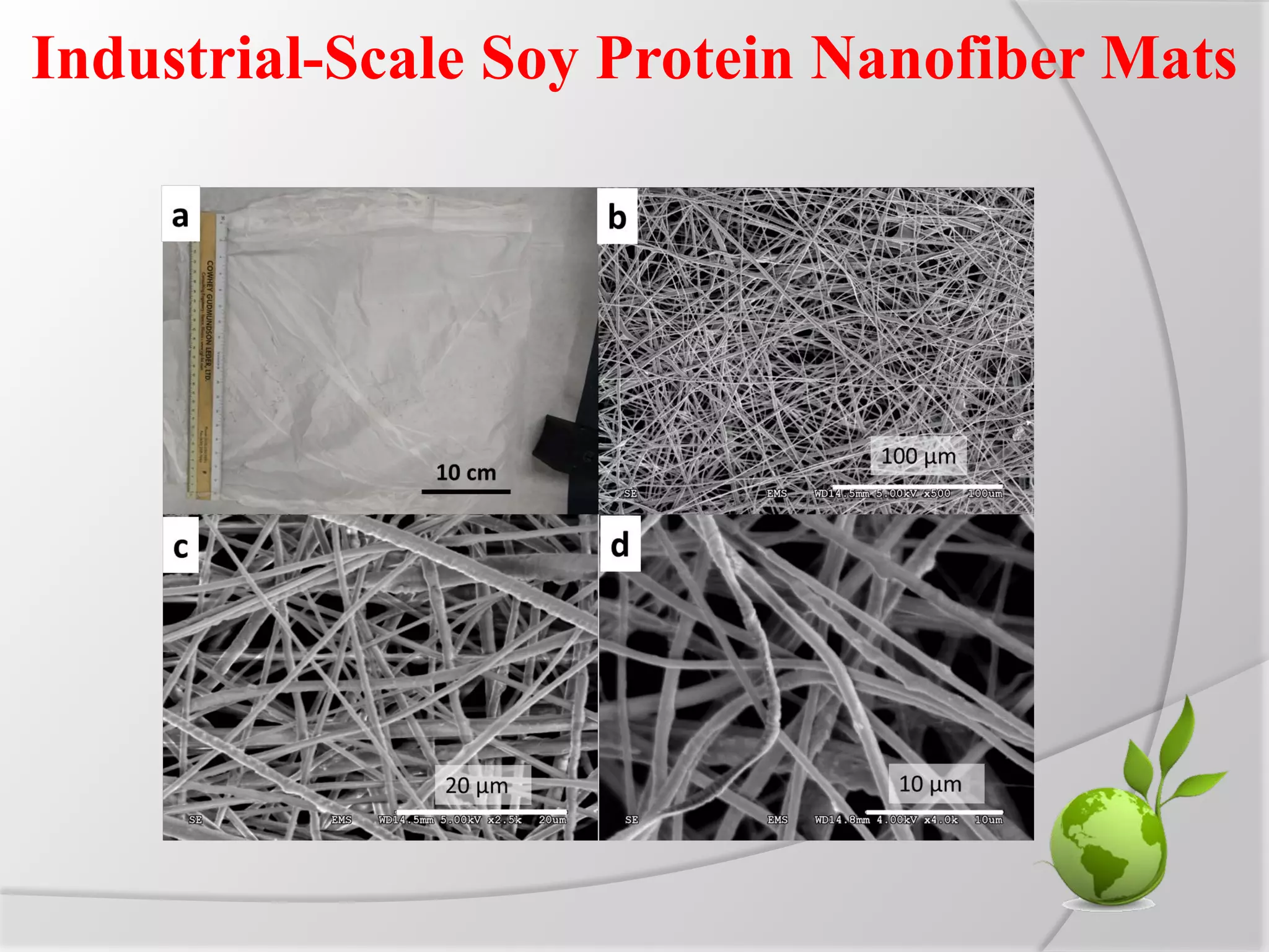Bio-waste-derived nanofibers formed by solution blowing and their ...