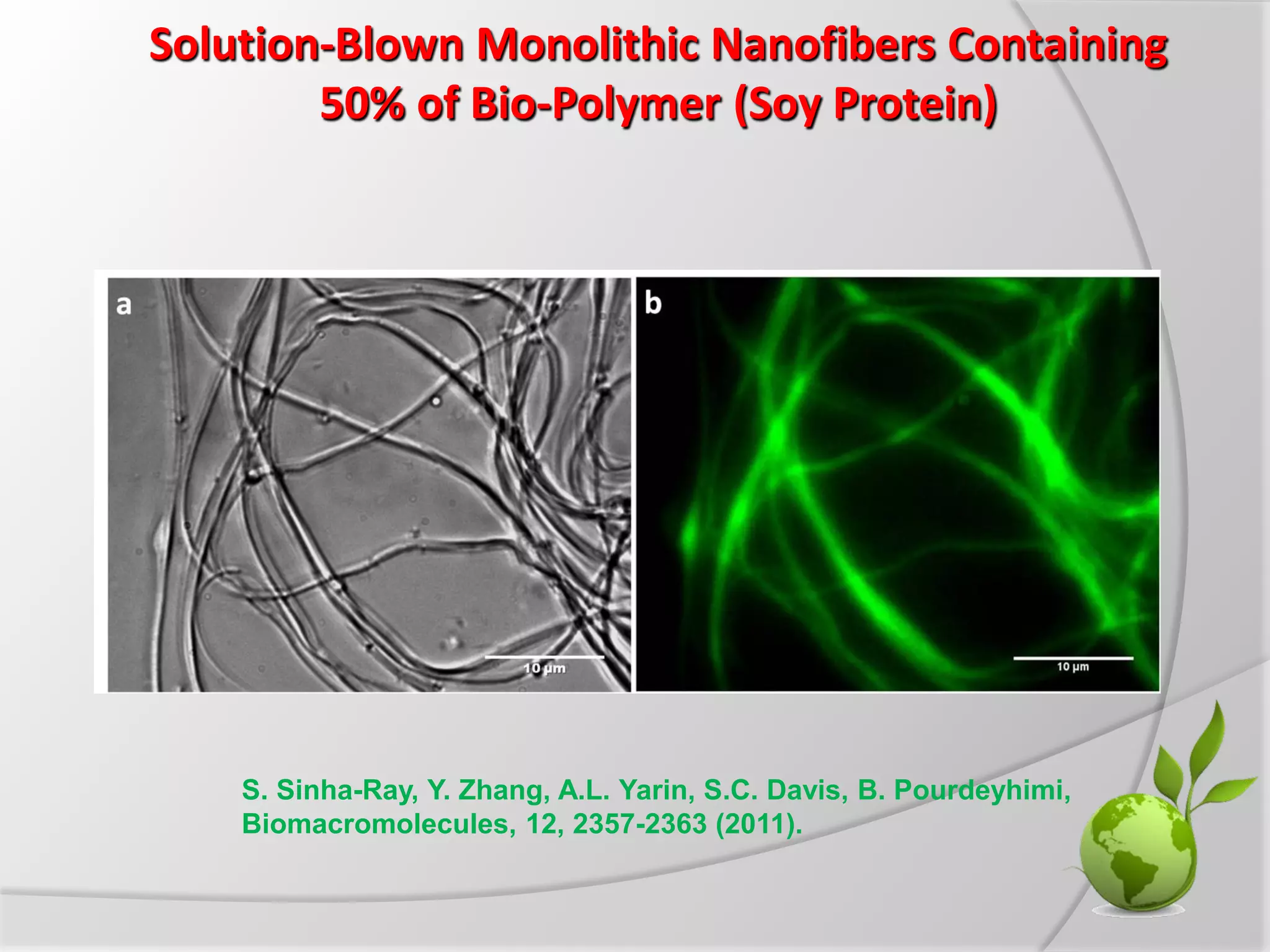 Bio-waste-derived nanofibers formed by solution blowing and their ...