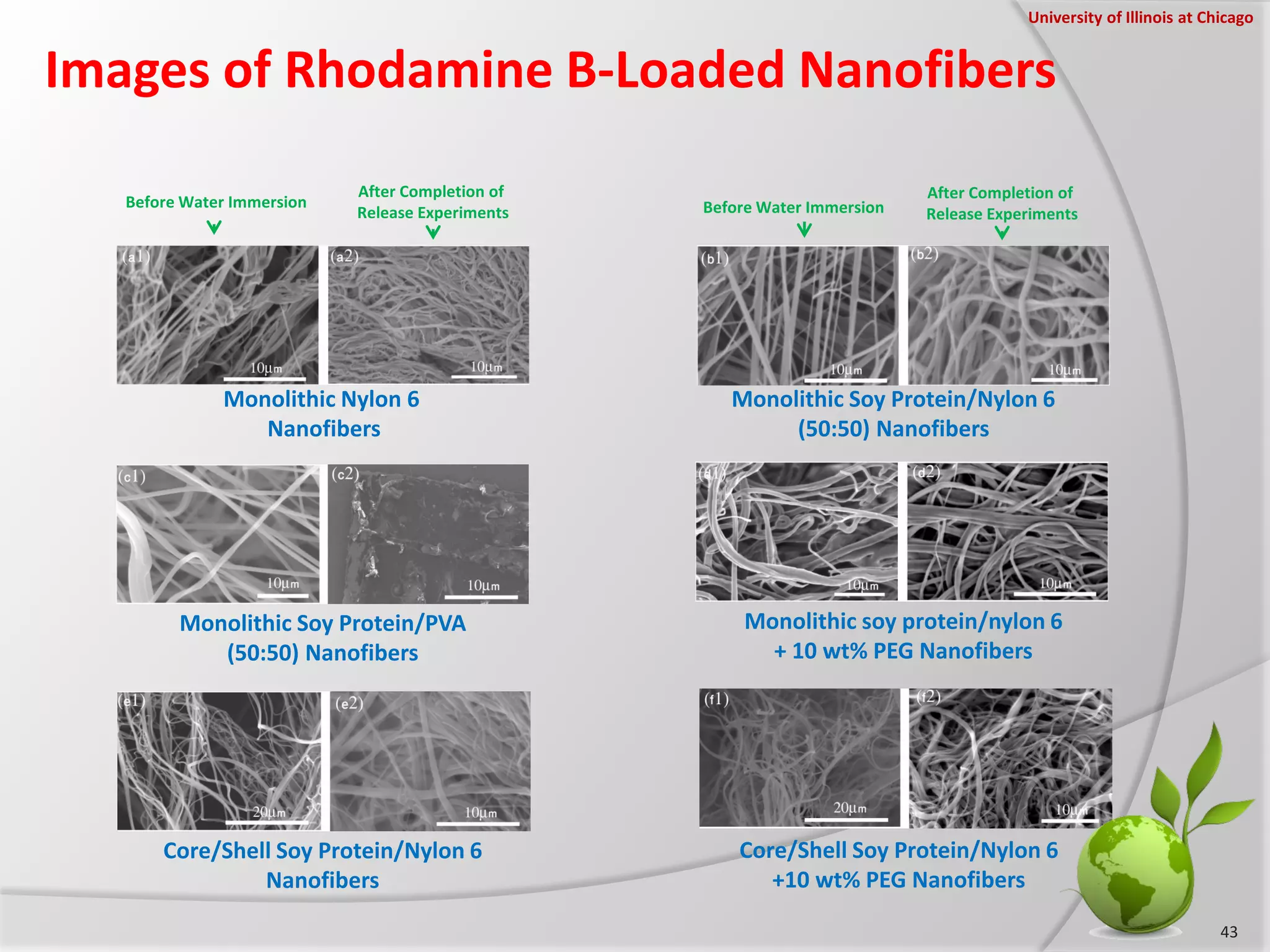 Bio-waste-derived nanofibers formed by solution blowing and their ...