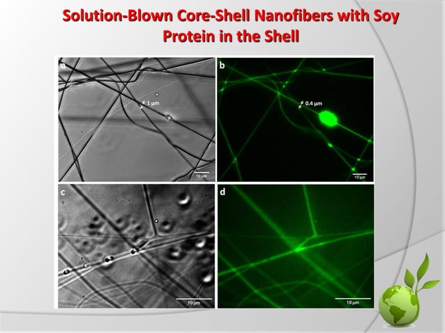 Bio-waste-derived nanofibers formed by solution blowing and their ...