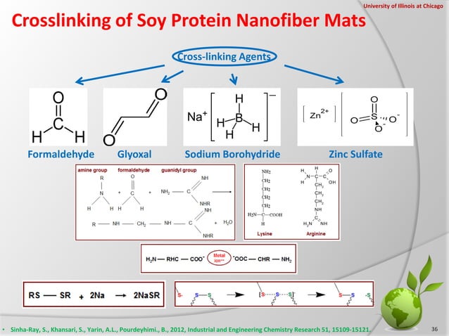 Bio-waste-derived nanofibers formed by solution blowing and their ...
