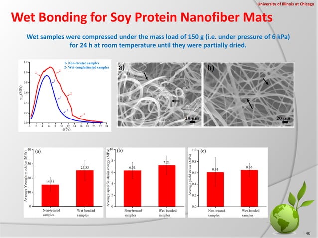 Bio-waste-derived nanofibers formed by solution blowing and their ...