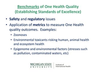 One Health Approach Roadmap: A University Perspective | PDF