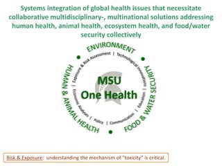 One Health Approach Roadmap: A University Perspective | PDF