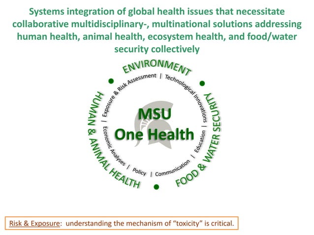 One Health Approach Roadmap: A University Perspective | PDF ...