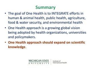 One Health Approach Roadmap: A University Perspective | PDF