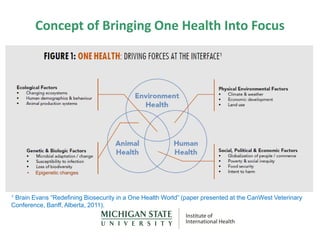 One Health Approach Roadmap: A University Perspective | PDF