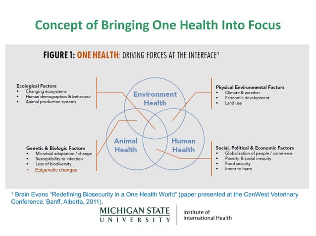 One Health Approach Roadmap: A University Perspective | PDF ...