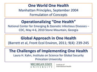 One Health Approach Roadmap: A University Perspective | PDF