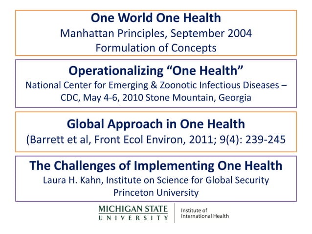 One Health Approach Roadmap: A University Perspective | PDF ...