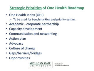 One Health Approach Roadmap: A University Perspective | PDF