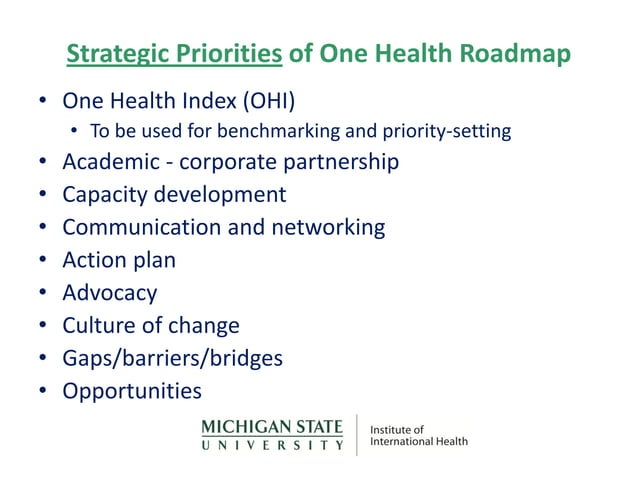 One Health Approach Roadmap: A University Perspective | PDF ...