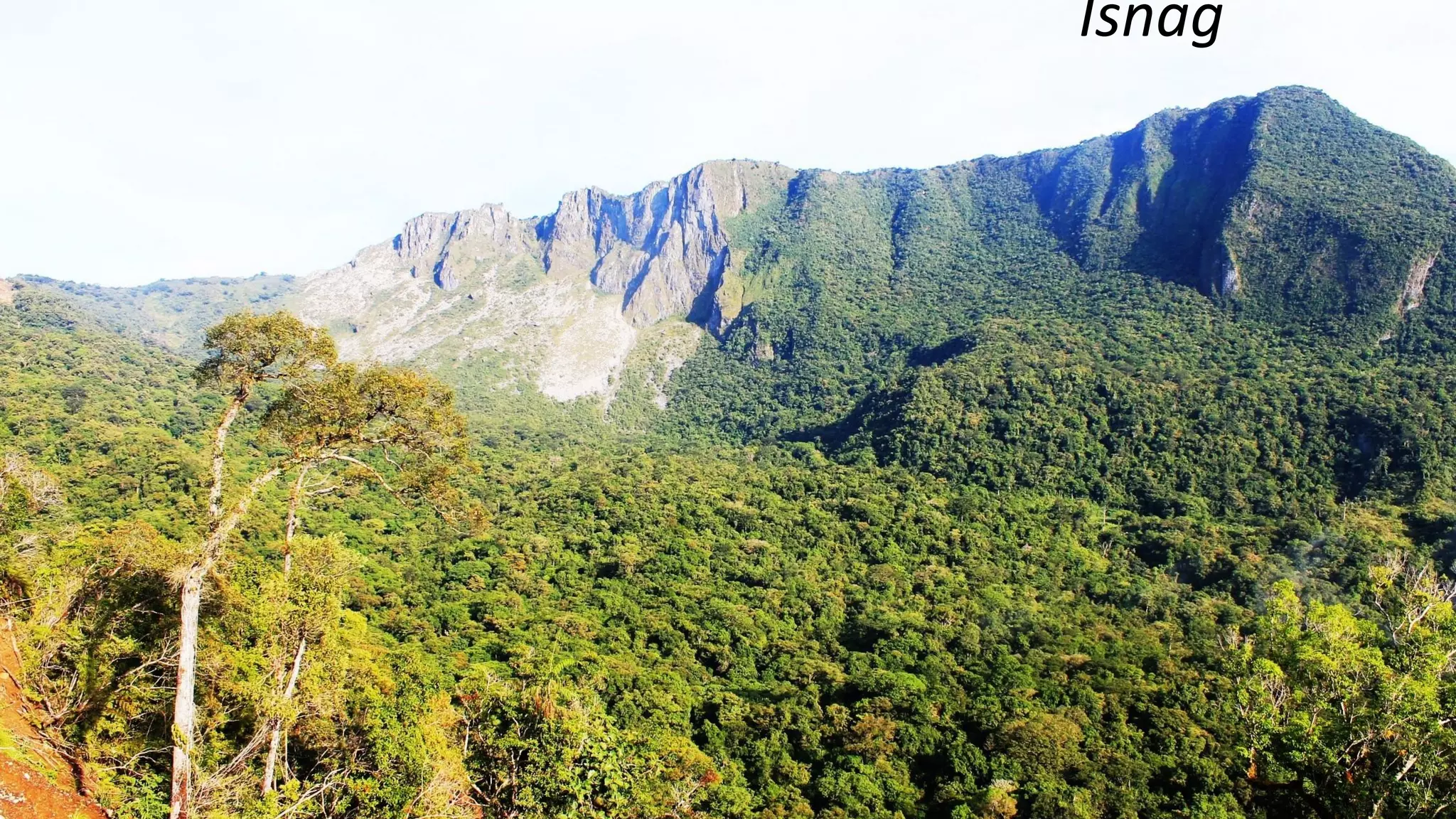 Culture-based Conservation Philippine Eagle Foundation | PDF