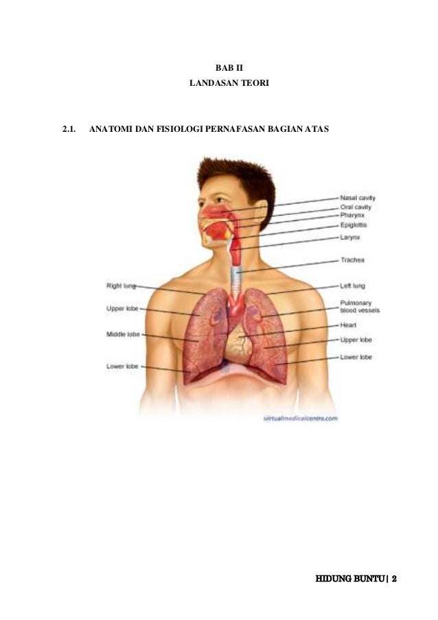 Makalah Hidung buntu