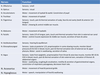 hemiparesis | PPT