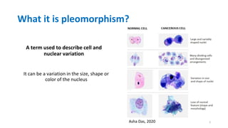 pleomorphism (1) (1).pdf